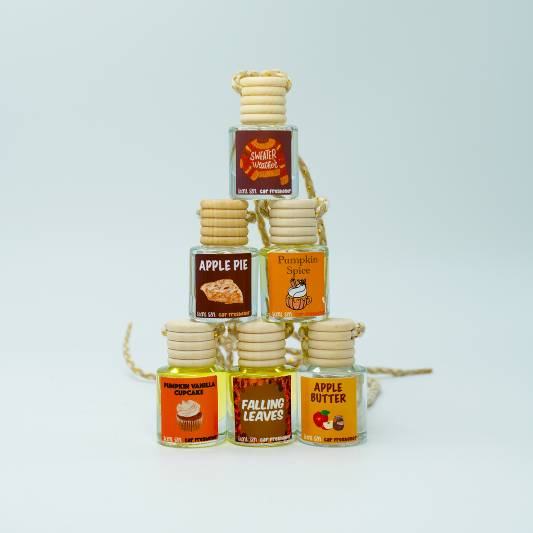 Hanging Car Air Freshener Diffusers – Scent Szn