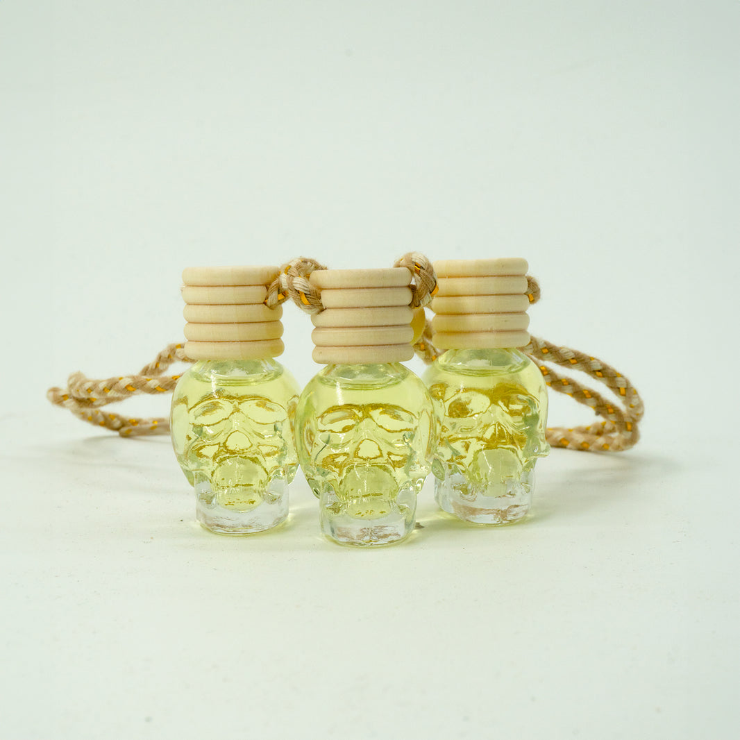 Hanging Car Air Freshener Diffusers – Scent Szn